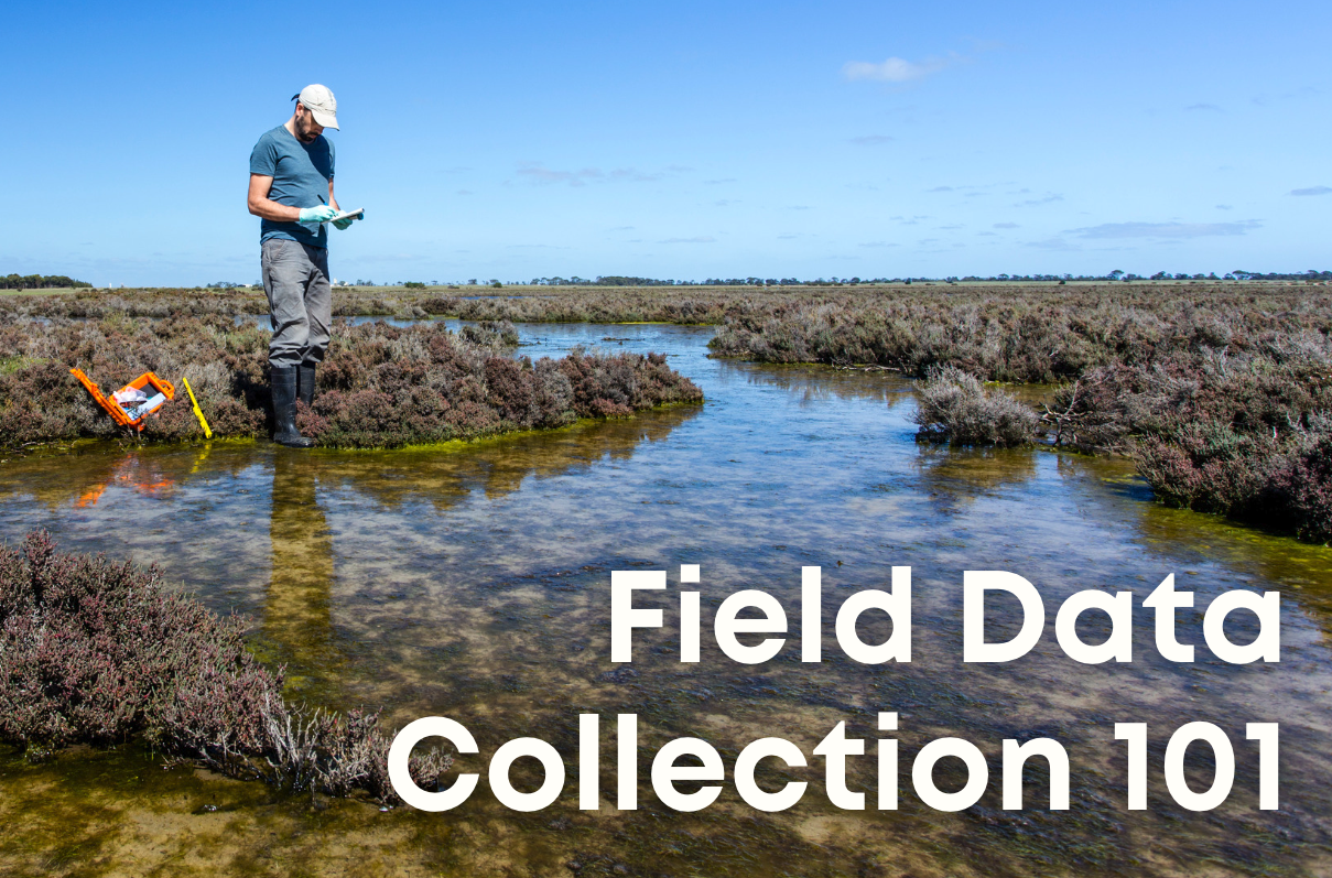 What is Field Data Collection?